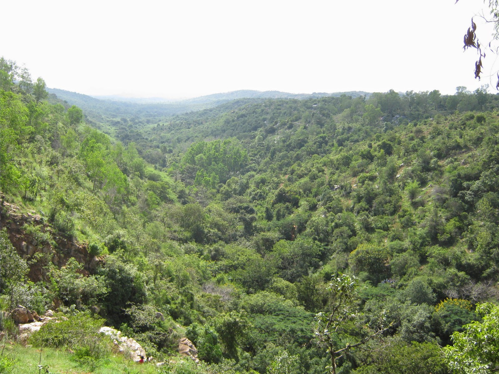 MuthyalaMaduvu , Pearl Valley , Anekal , near Bengaluru