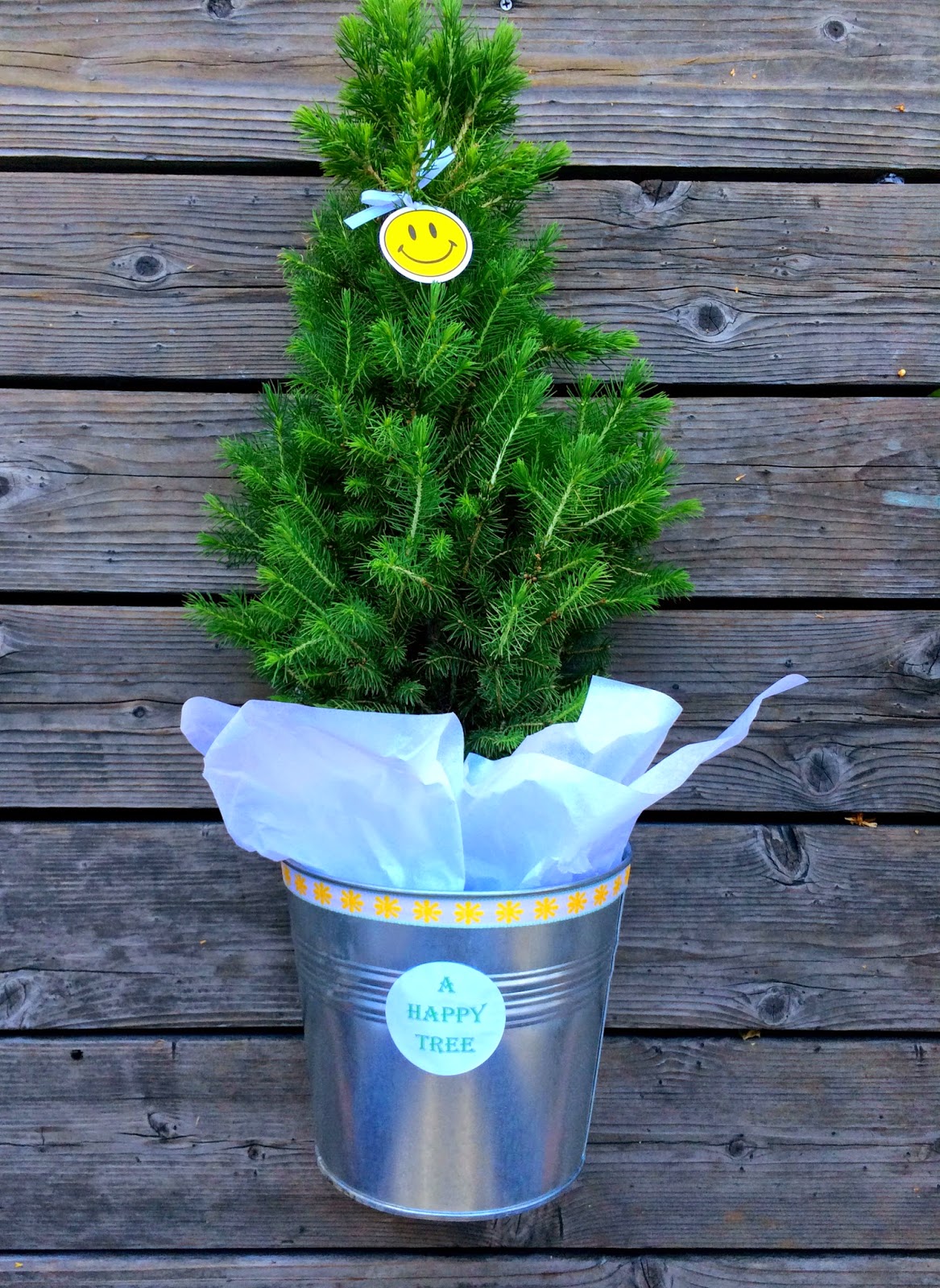 Jac o' lyn Murphy: New Meaning to the word "Treehouse"