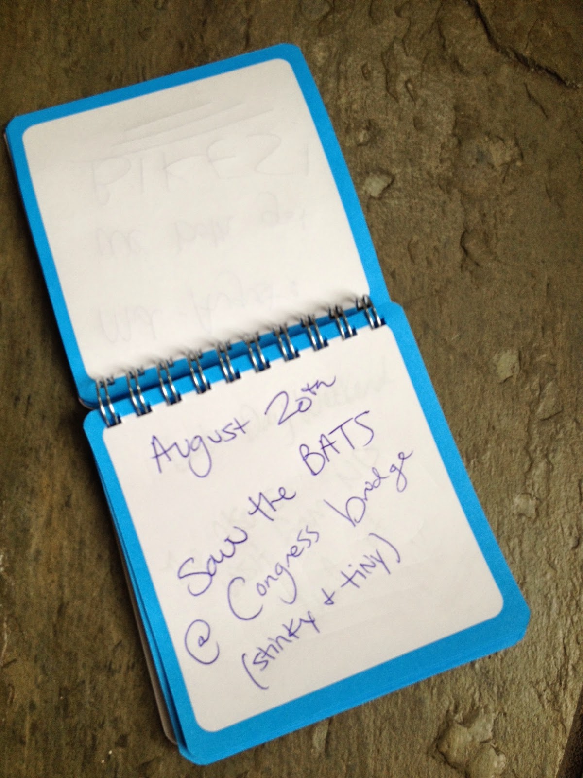 Being Mrs. Olson: Memory Book