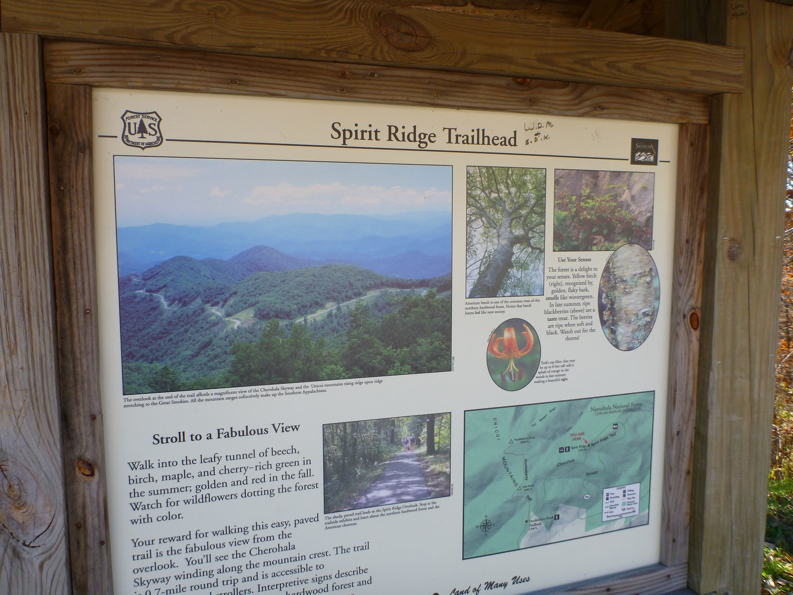 GSMNP - HIKER: Hike On Spirit Ridge Off Of Cherohala Skyway