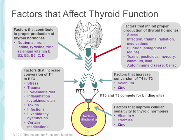 amudu: THYROID GLAND DISORDERS