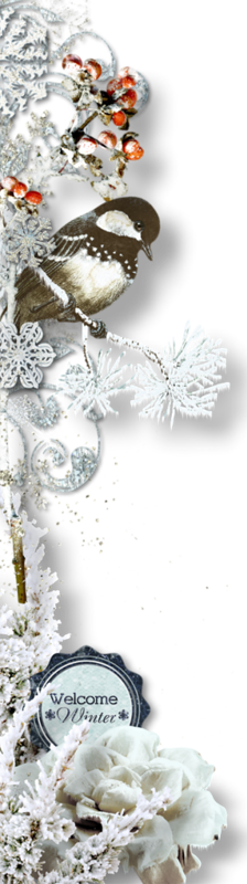 ForgetMeNot: cluster winter