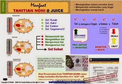 Pengobatan Alternatif Demam Berdarah Dengue (DBD) | Pengobatan ...