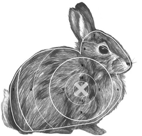 Project Gridless: Assorted Paper Archery Targets