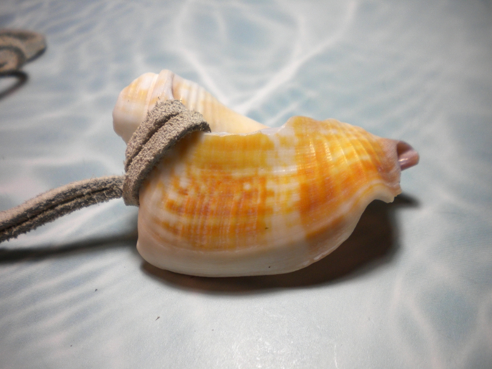 Del's Shells: Ladies Mens and Unisex Seashell Jewelry