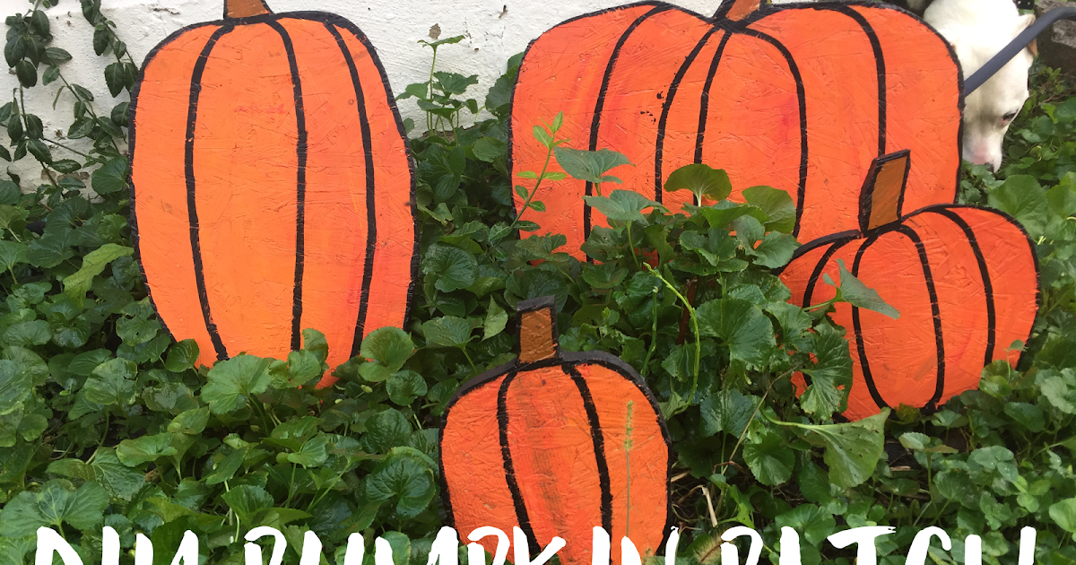 Golden Skies: DIY Pumpkin Patch