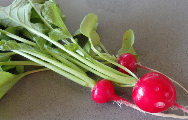 DISFRUTAR CON EL HUERTO Y EL JARDÍN
