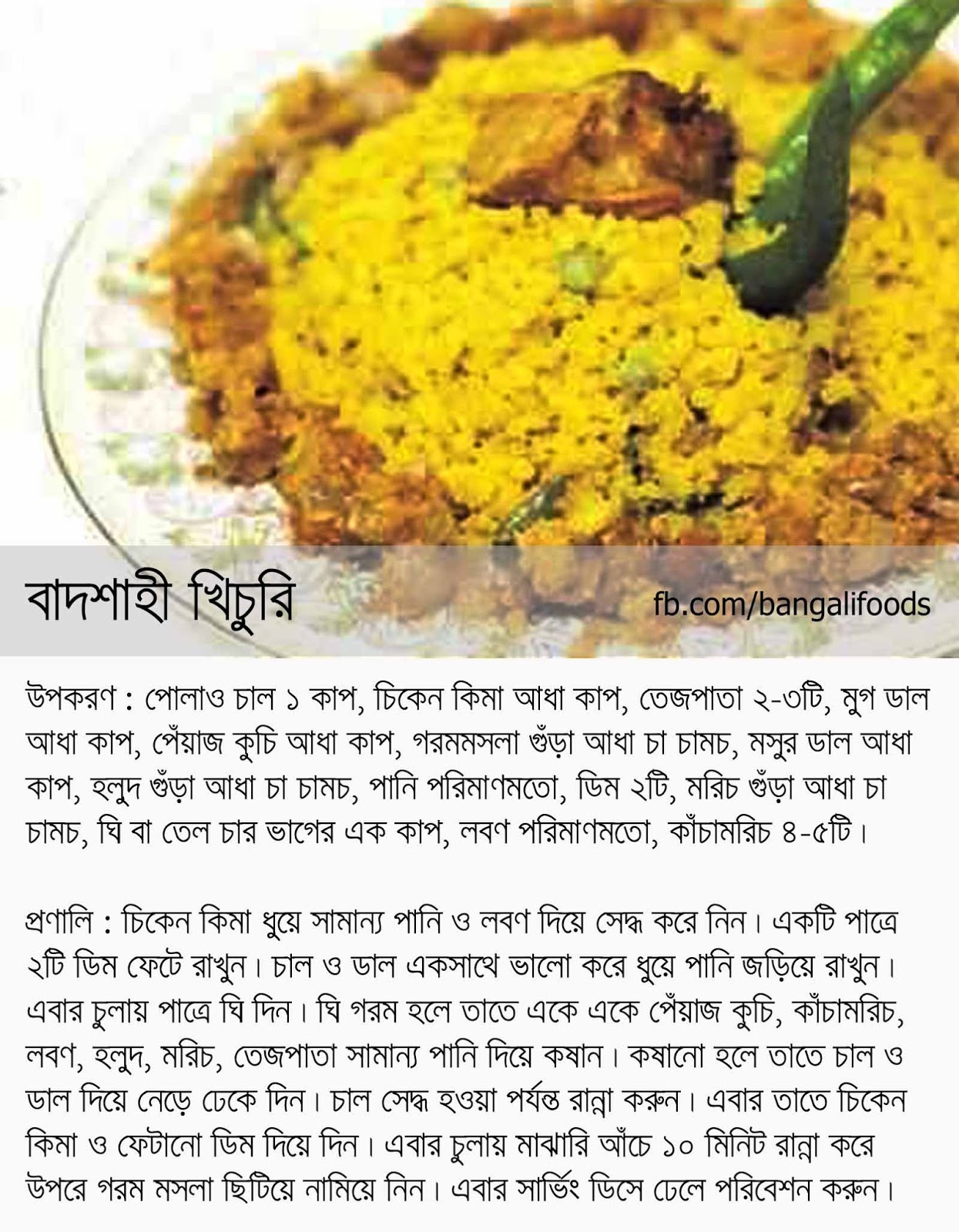 Bangali Foods: Some Khichuri Recipes in Bangla