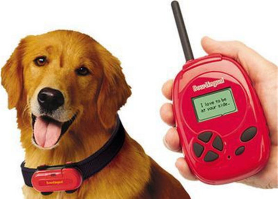 Keka'sS Blog: Bowlingual, traductor para perros.