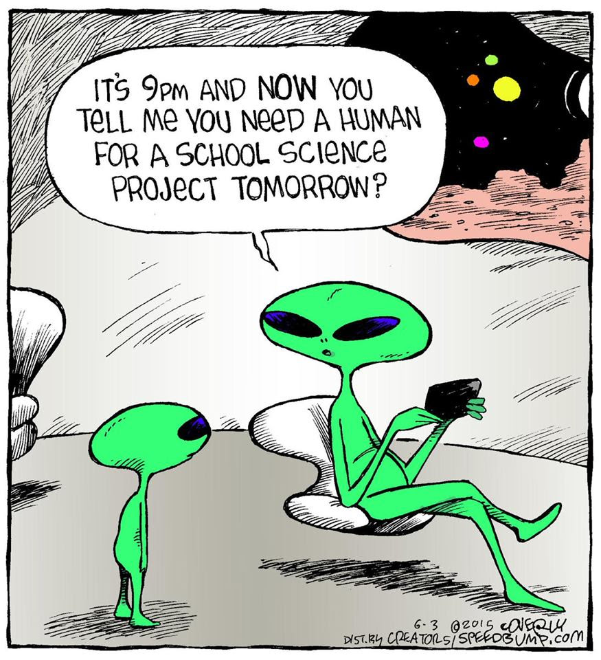 My Crazy Email: Our Pinterest Pins #27