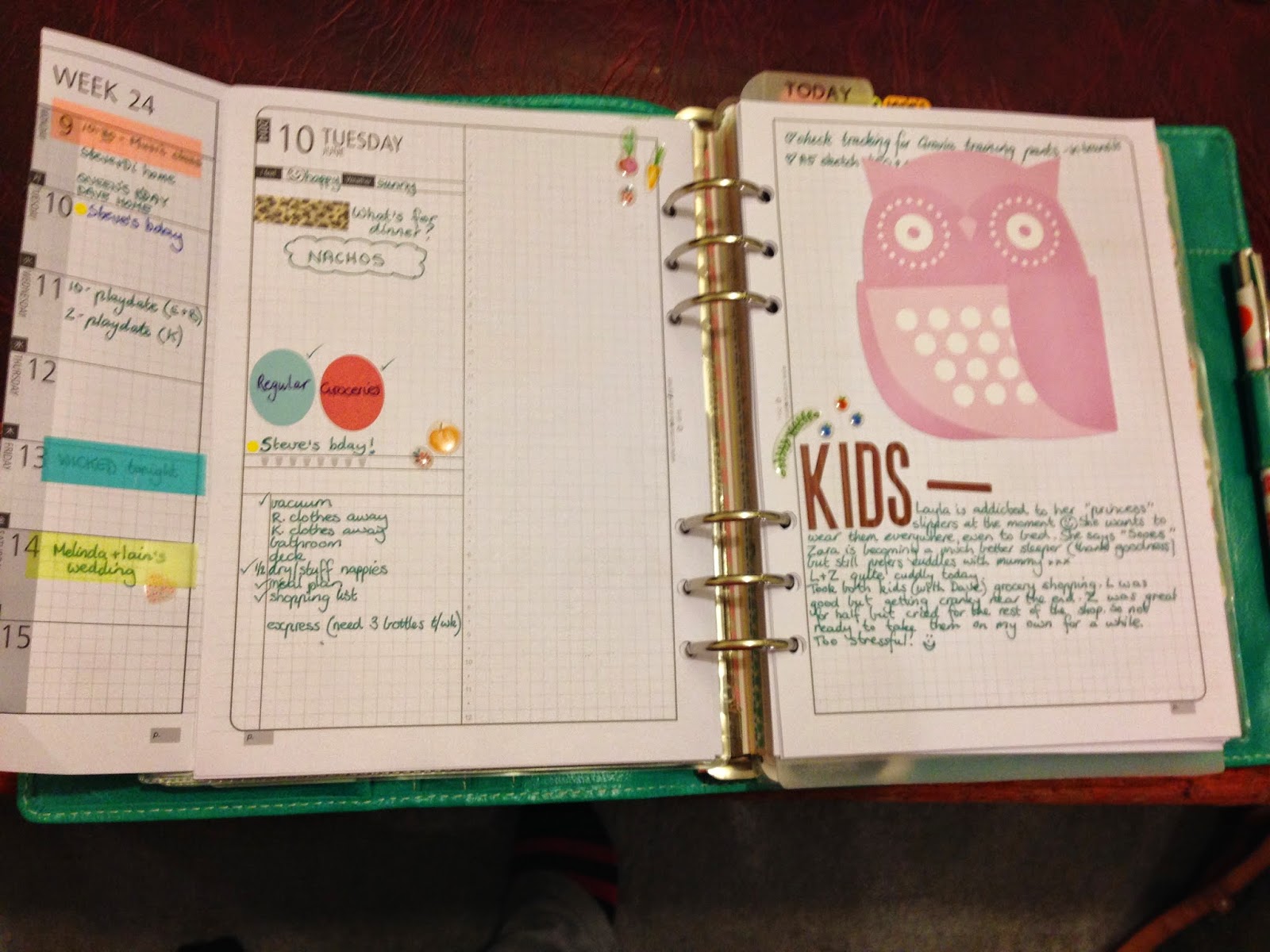 Organised Lifestyle: DIYfish inserts review - A5 WO2P v2.1