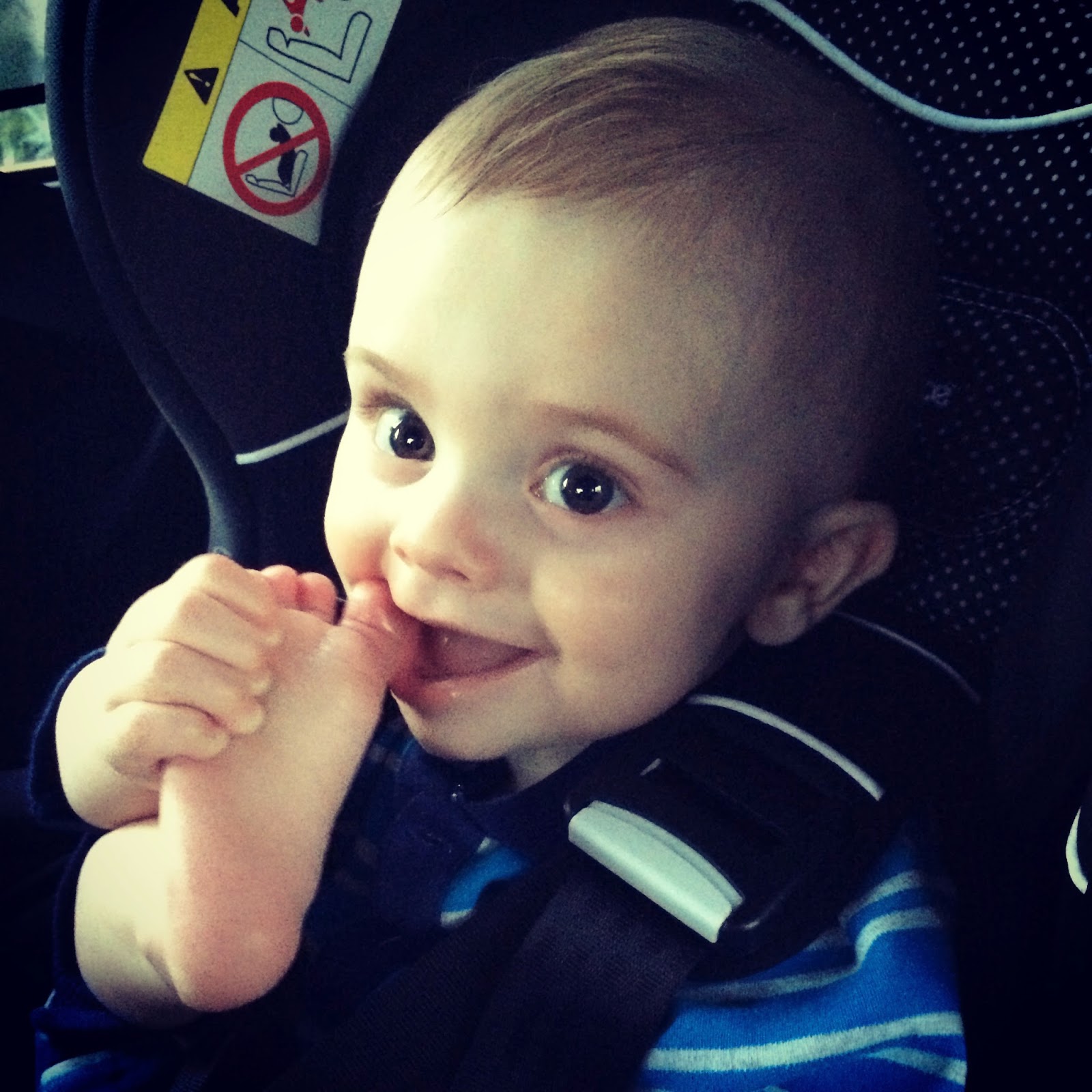 Mrs Bishop's Bakes and Banter: Bert is 7 Months Old Today! *cute baby ...