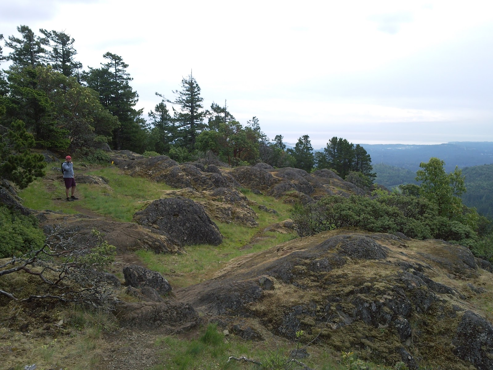 Mel's Daily Dose: May 21...Mt.Work hike