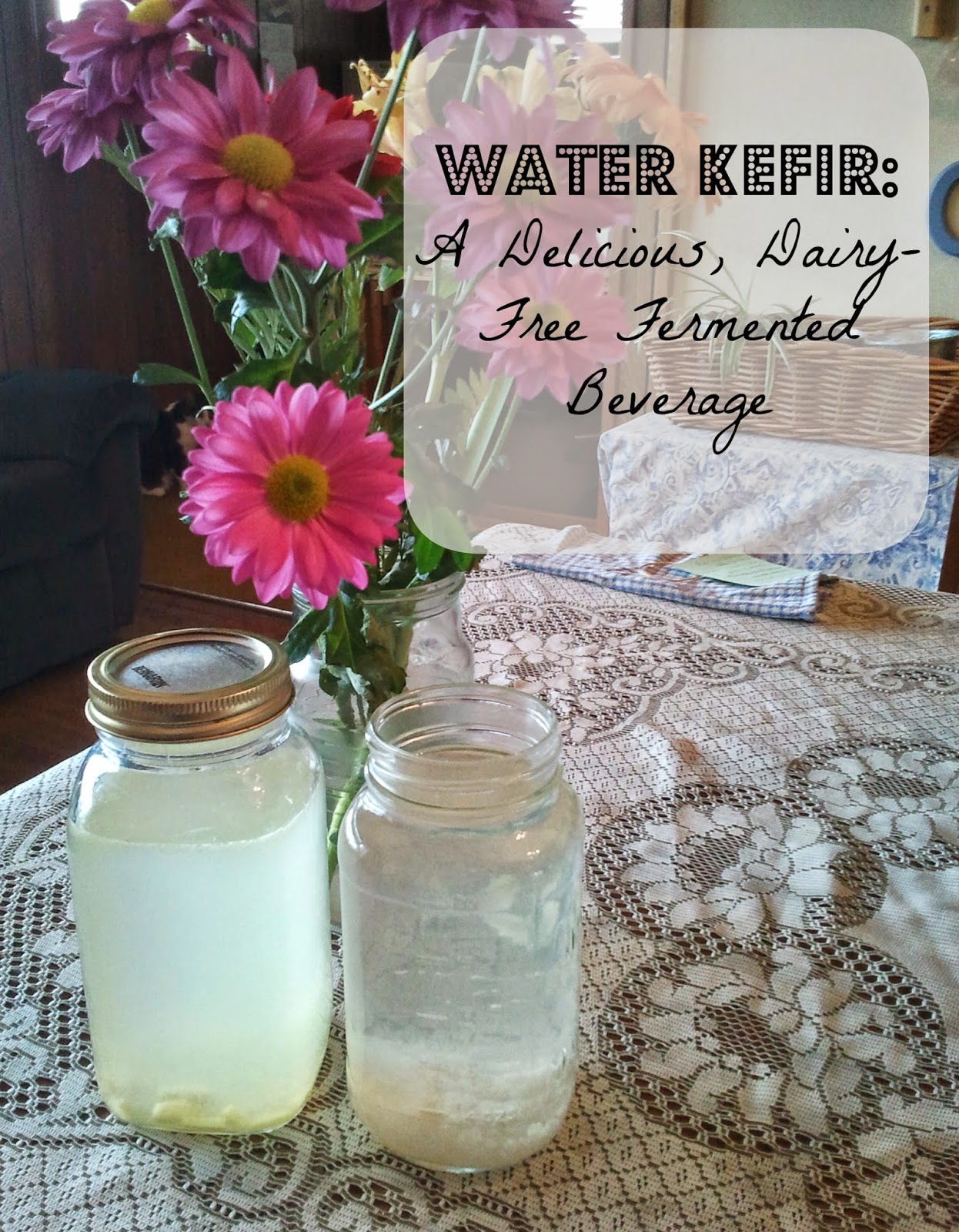 Abundance on a Dime: Water Kefir: My Family's New Favourite Drink!