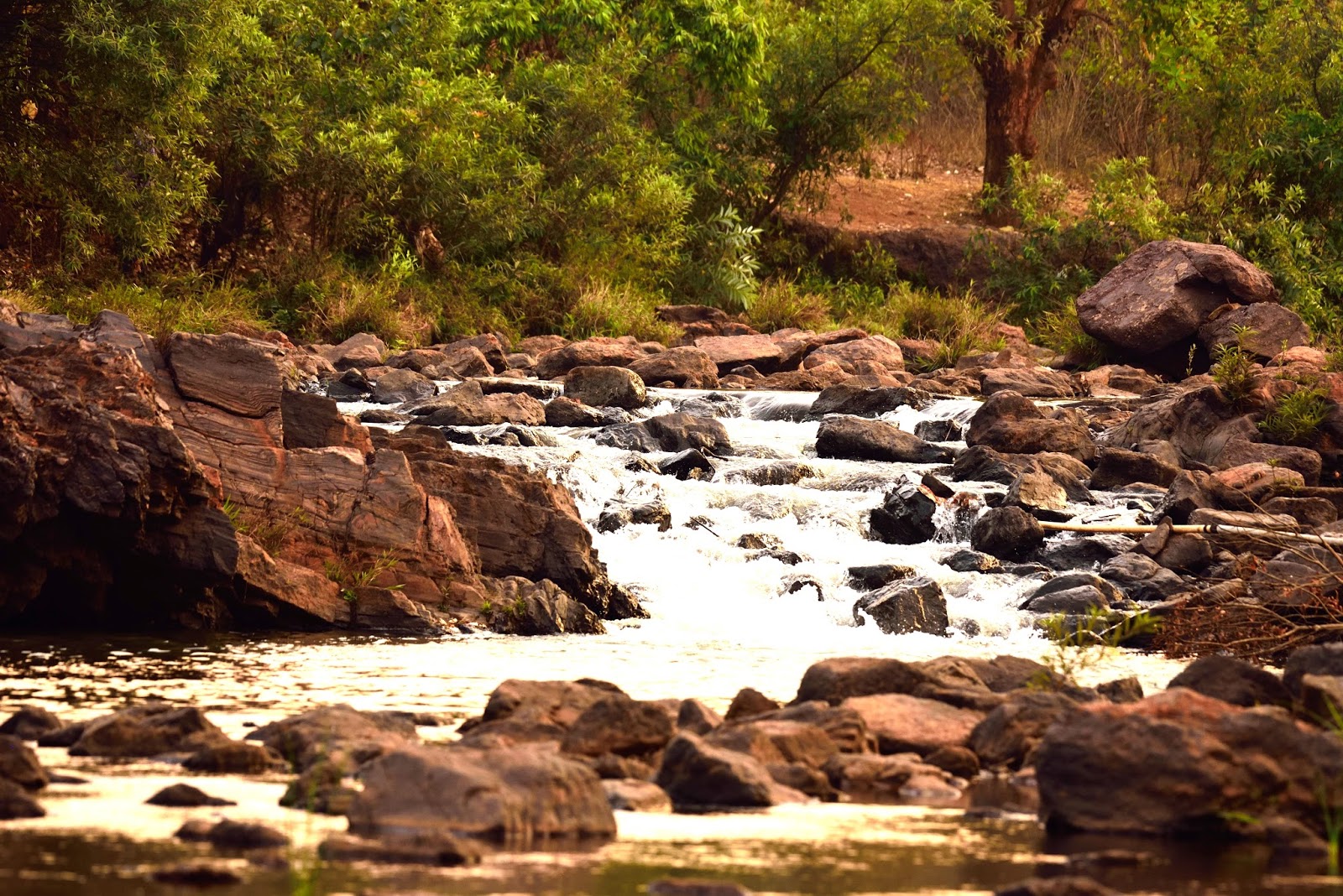 SARANDA - Forest across 700 Hills