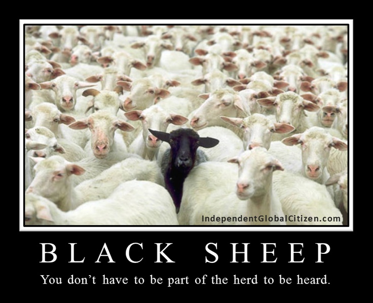 Truth: What Congressmen Really Think