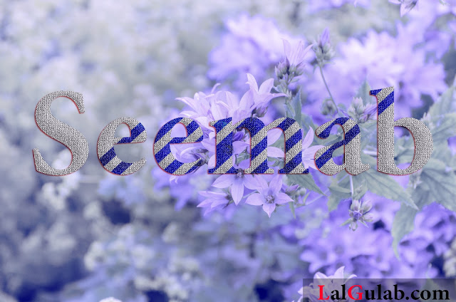 Seemab Name Wallpapers Seemab ~ Name Wallpaper Urdu Name Meaning Name ...