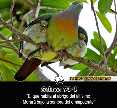 SIGUIENDO LA SANA DOCTRINA: SALMO 91, REFLEXIÓN