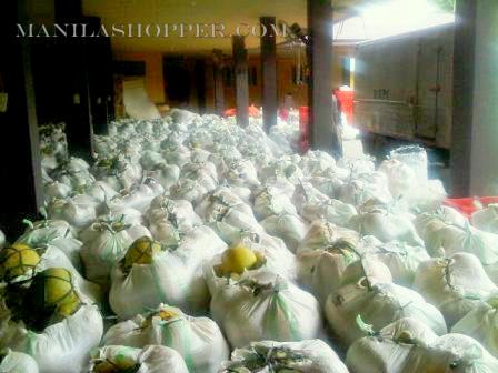 Manila Shopper: Shopping for Pomelo in Davao