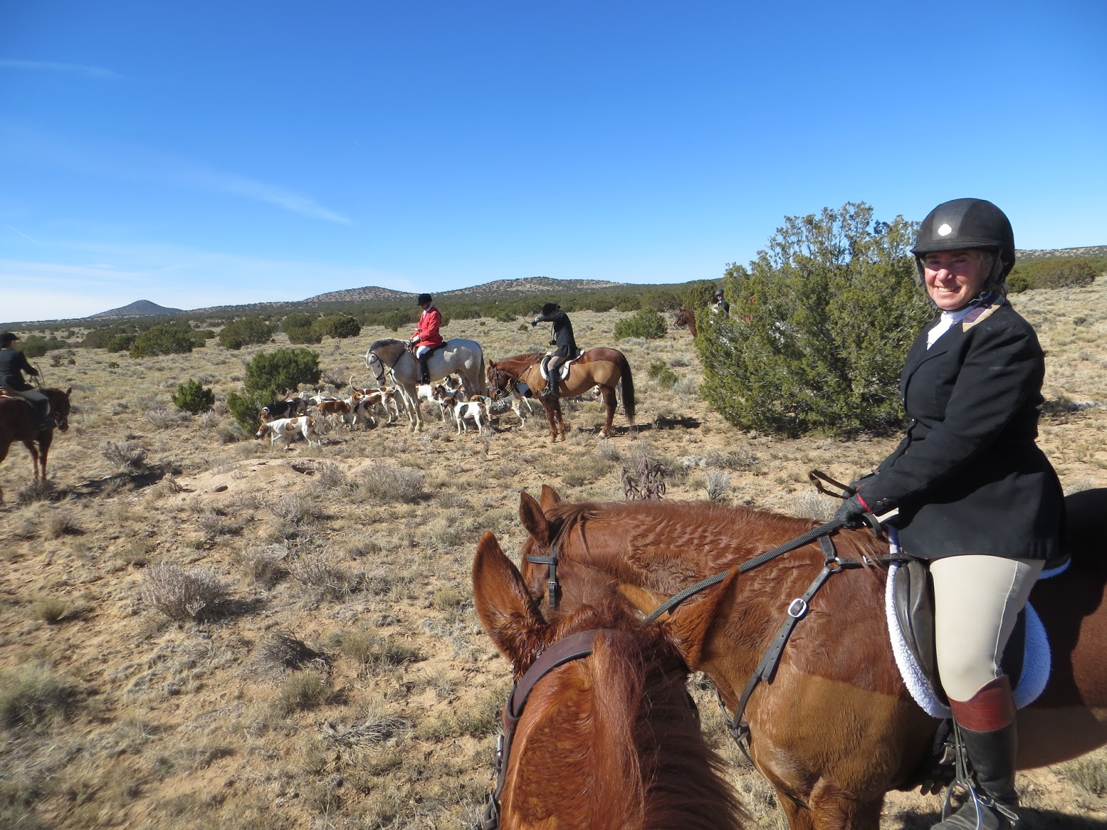 An English country girl in California: An epic fox-hunting tour of the ...