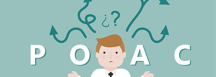 Konsepsi Manajement Project POAC