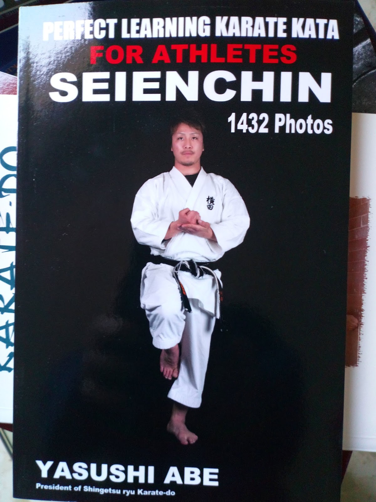 Libro: Seienchin ~ Virtual Ryu Kyu Karate