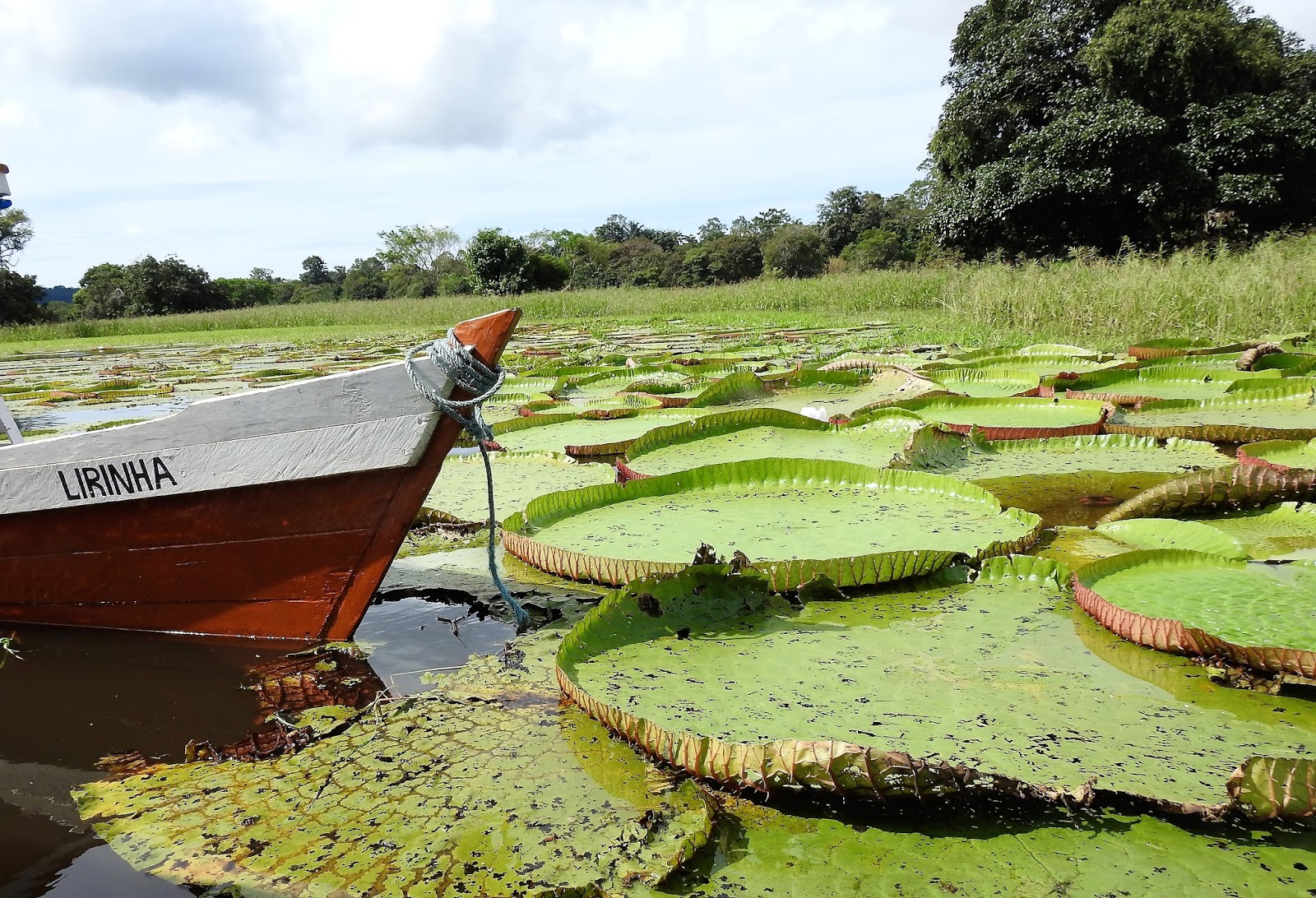 My Travel Blog: A day in an Amazon River village...