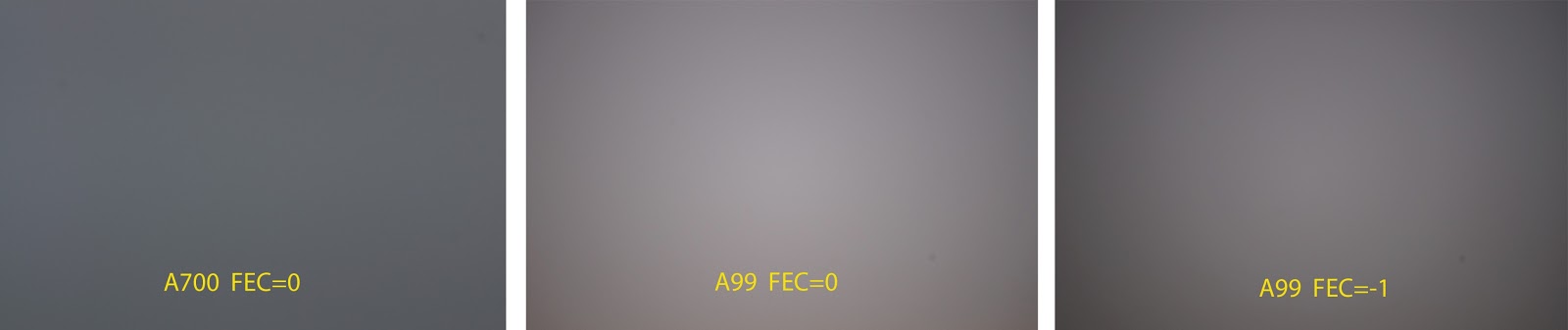 The Friedman Archives Blog: Flash Exposure Problems FIXED!