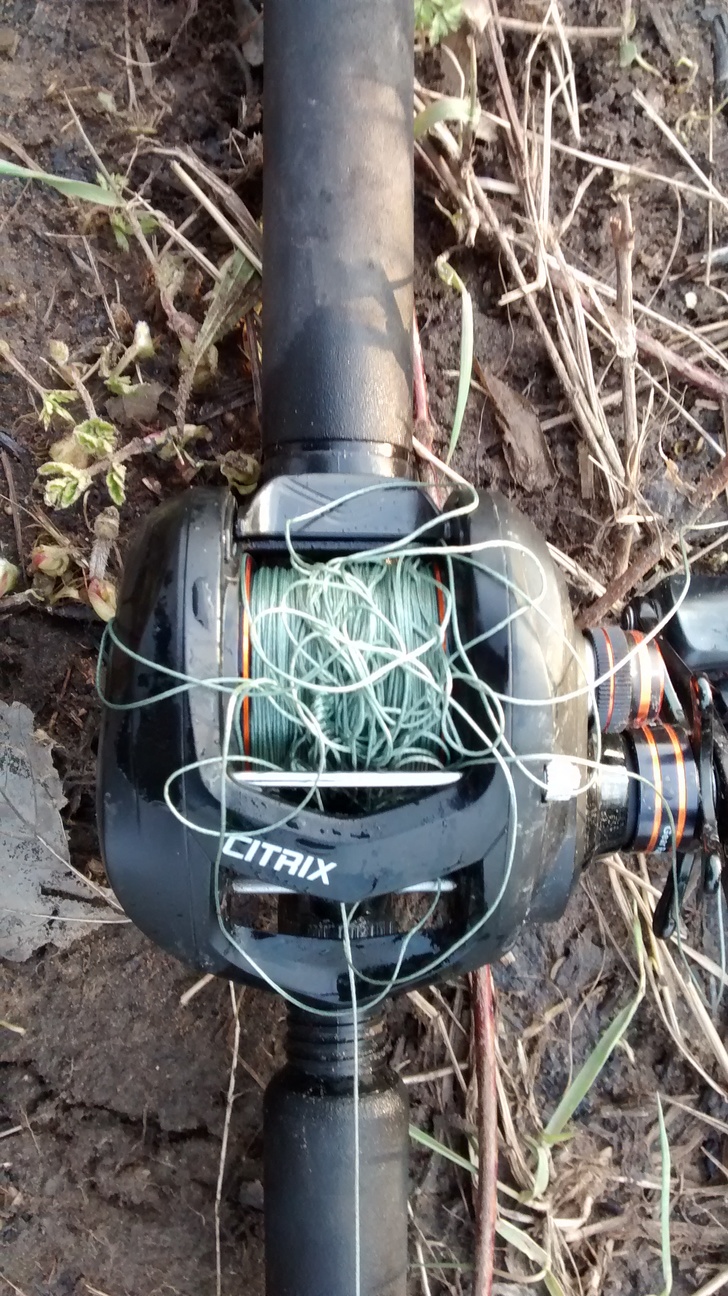 Jorvik Angler: January 2016