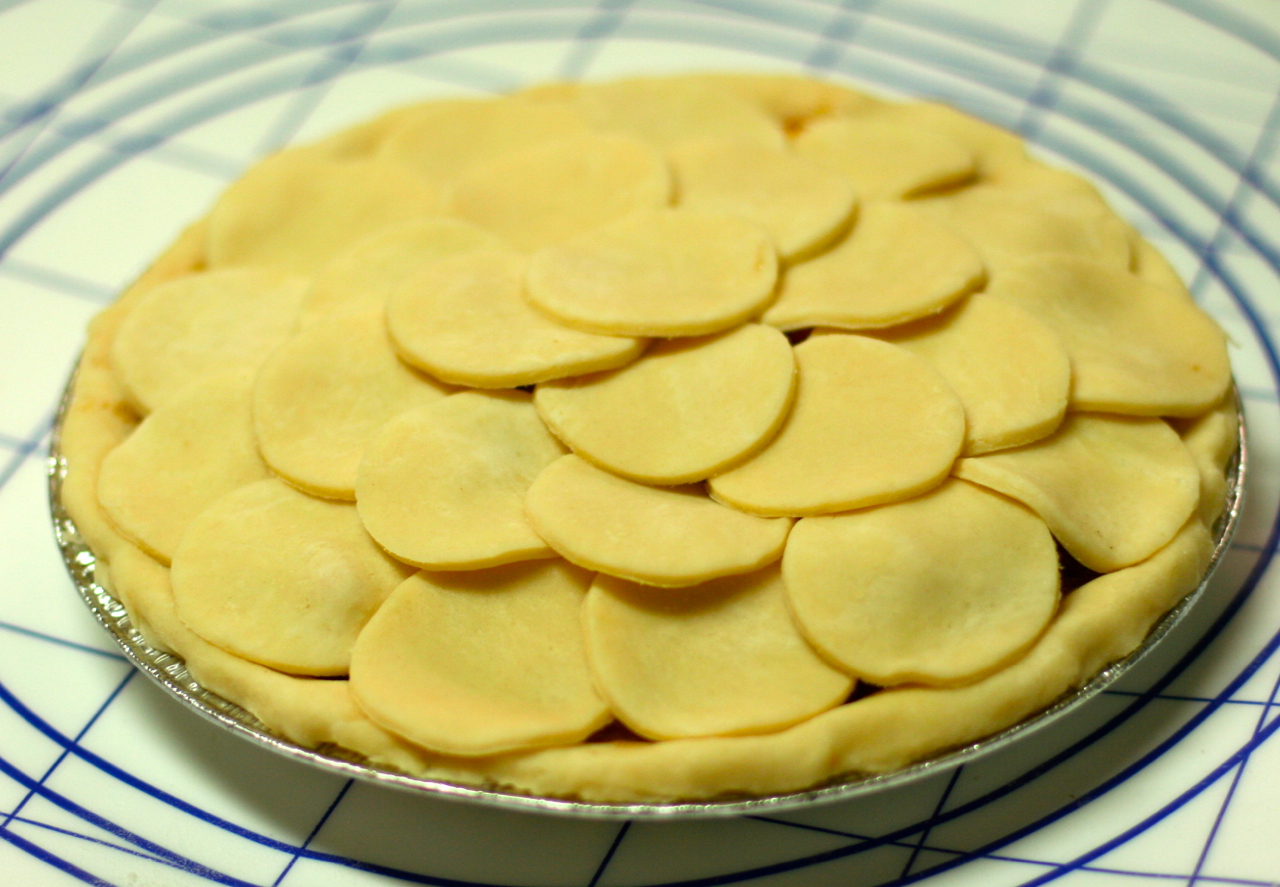 V e g a n D a d: Lattice Top (and other Ways to Make a Funky Pie)