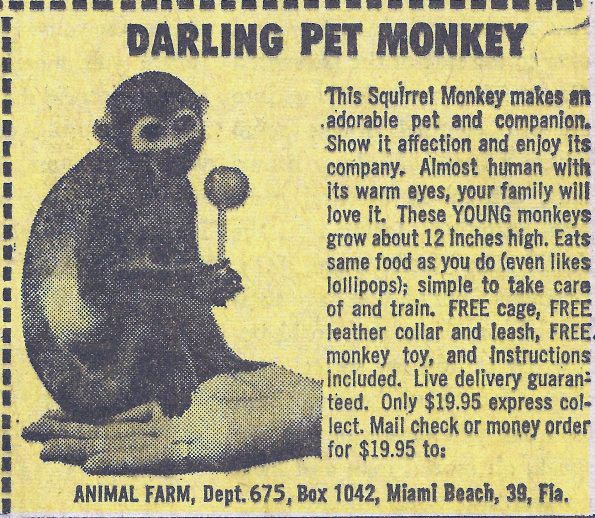Andy's World: Vintage Pet Monkey Advertisements