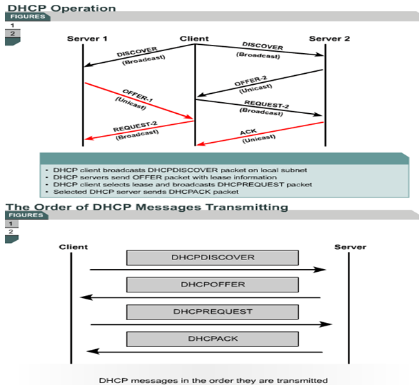 What is a dhcp client - oddkj