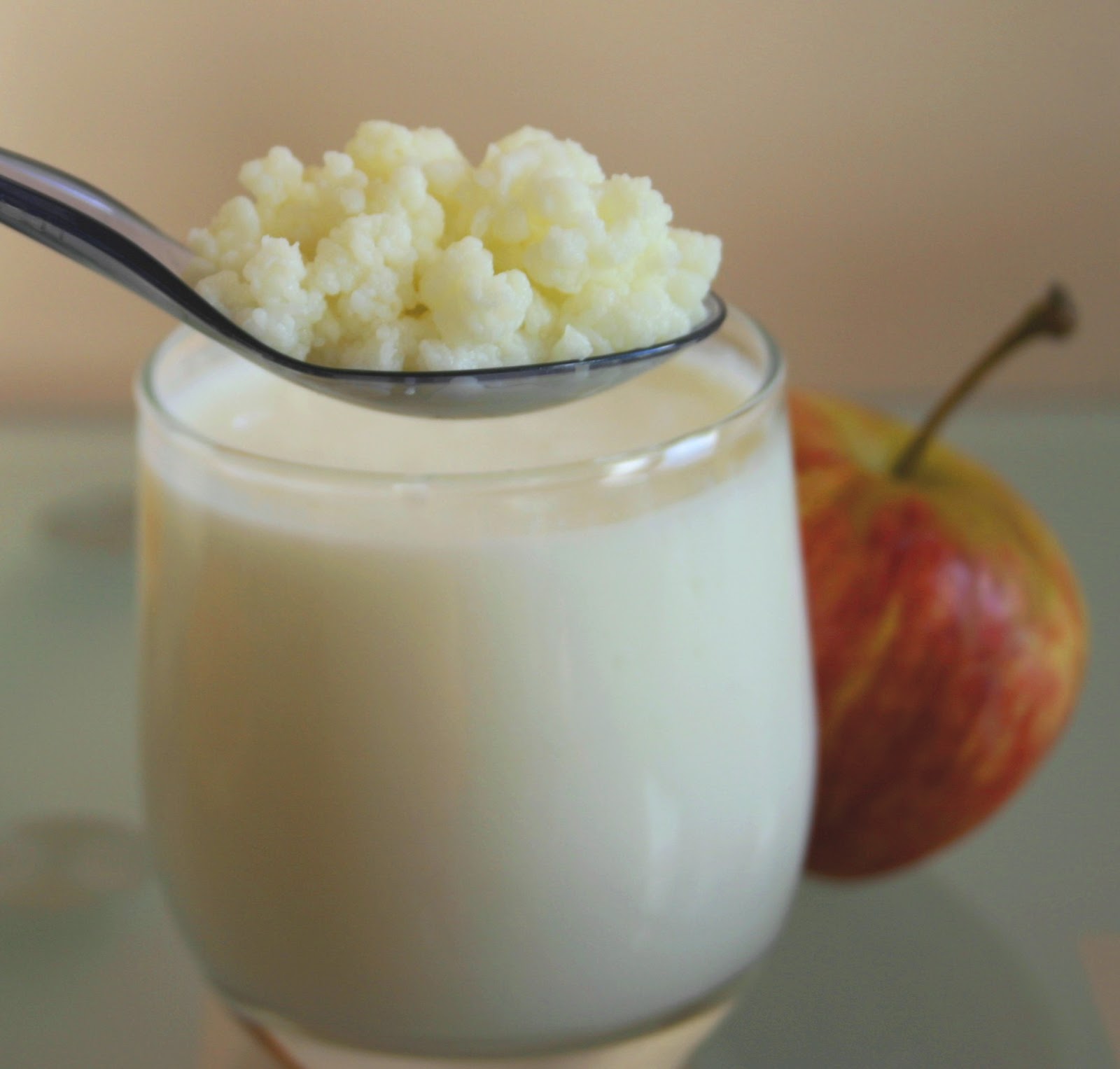 Milk Kefir - Live Milky Probiotic: 2013