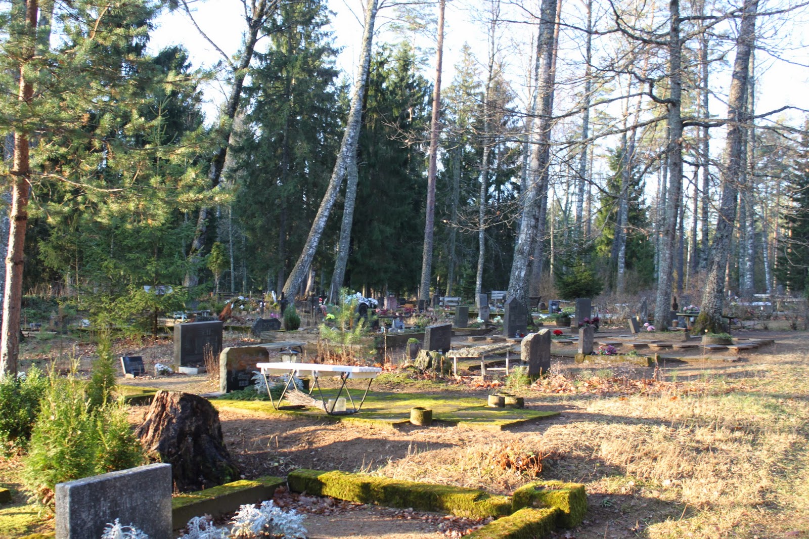 Vaskna Turismitalu: HINGEDEKUU SURNUAED