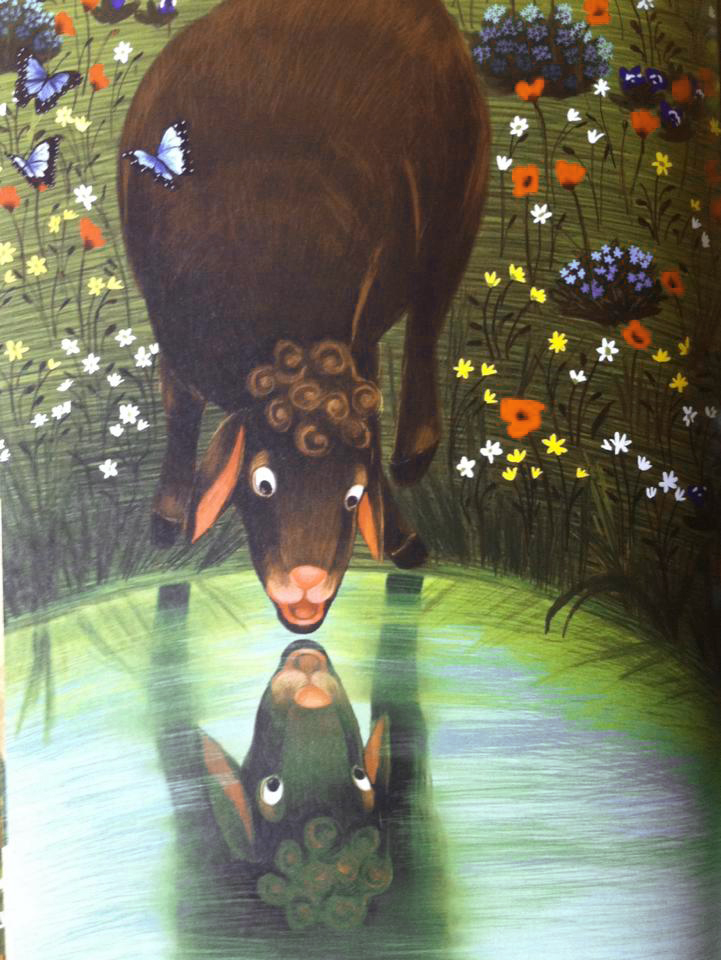 Betül Akzambaklar Illustration: The Fairy Tale of the Sheep