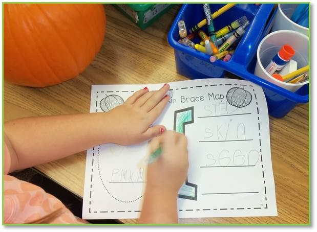 Dream Big Kinders: All about Pumpkins! and a FREEBIE!