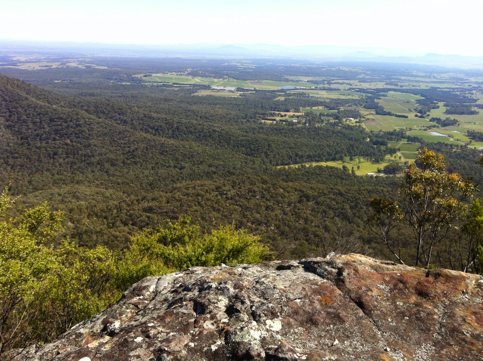 Walking The Parks: Pokolbin State Forest
