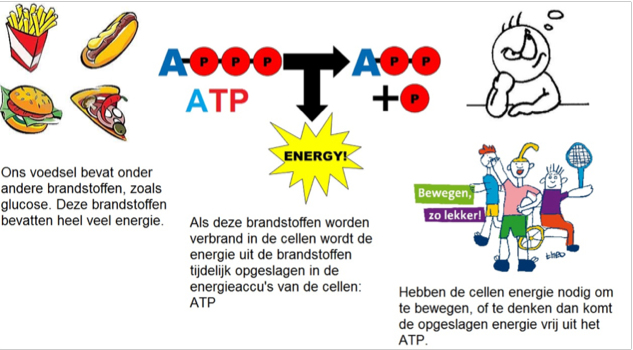 irun2Bfit: verbrandingstelsel