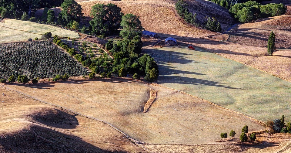 Osmanlı Tarihi(Kaynaklı Bilgiler): AHMEDİ