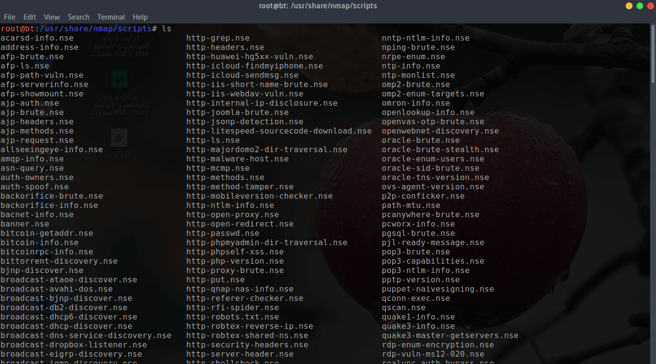 شرح محرك الفحص المتقدم Nmap Script Enginet Nse