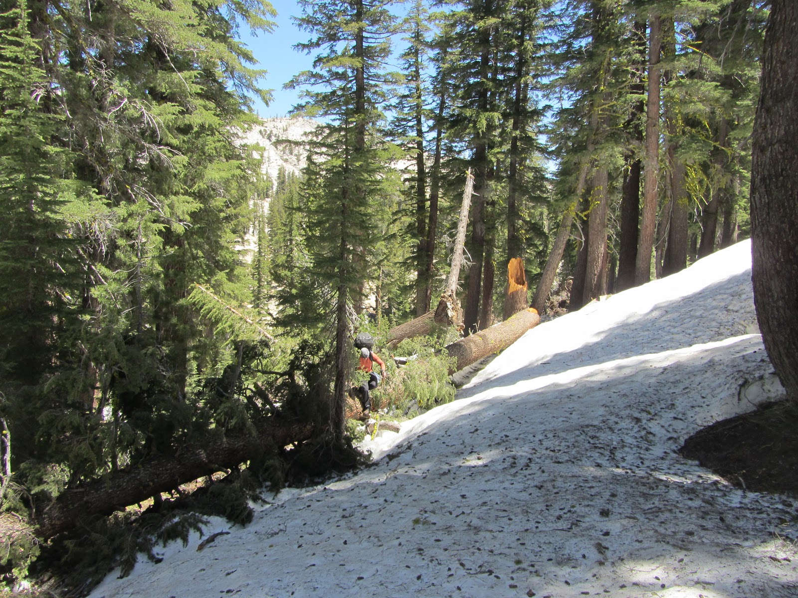 We Be Trekkin: Crabtree Trail- Emigrant Wilderness- Stanislaus National ...
