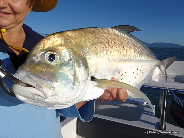 Fishing Location - Weedbeds ~ Fishing Townsville