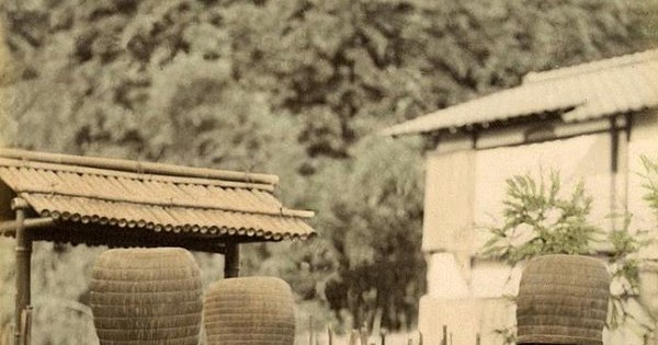 Myoan Shakuhachi: Komuso monks, Japan, 1887