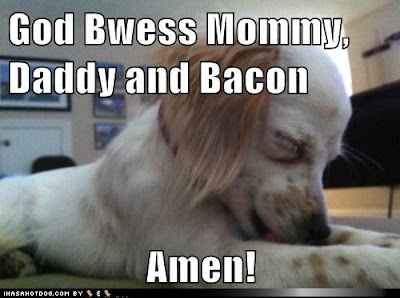 Thinking Pink: Top Five LOL Dogs of the Day