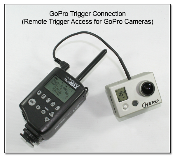 Michael Bass Designs: Pre-Trigger Cable: Canon / Nikon