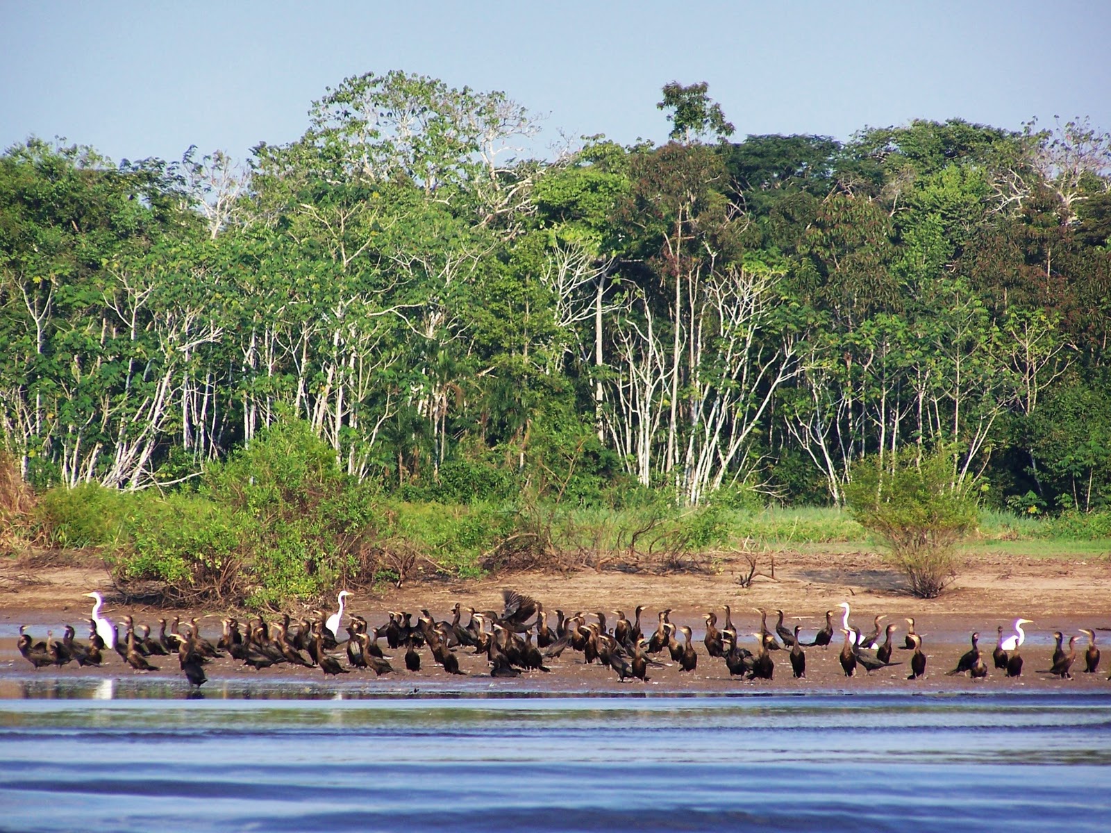 TIPISHCA: DICIEMBRE EN LA REGIÓN OMAGUA