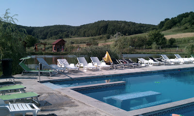 Picnic şi relaxare la Balta Moţului ... - Lady's Online