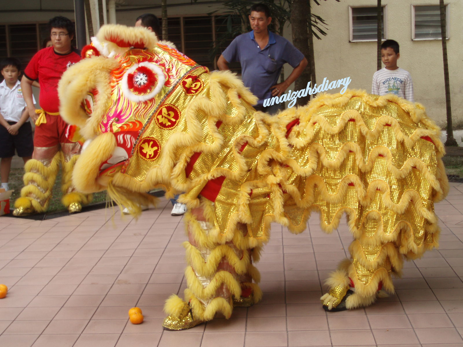 Memories Experiences Thoughts Hopes Dreams: Lion Dance / Tarian Singa