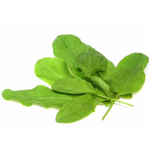 El cultivo del Alcaparro