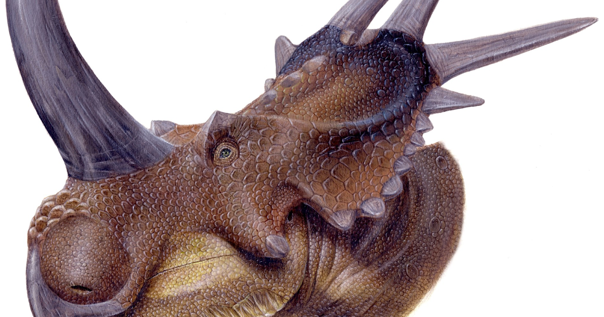 Extinct Animal of the Week: It Refers to Brambles